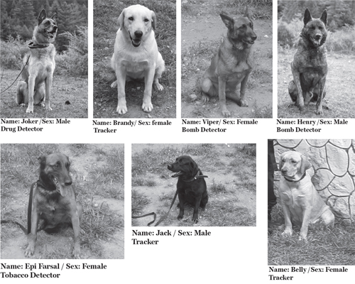 RBP’s K-9 unit: Keeping us safe from bombs and drugs – The Bhutanese