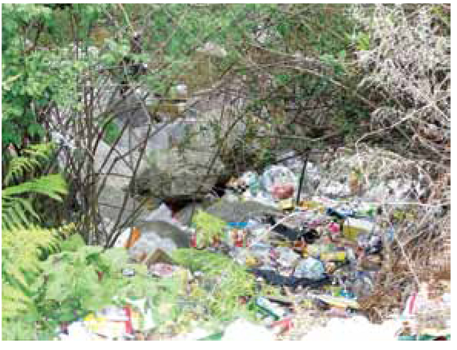 Upper Wangchu turning into a garbage dump – The Bhutanese