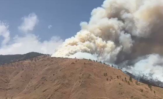 Human carelessness is the leading cause of forest fires in Bhutan – The ...