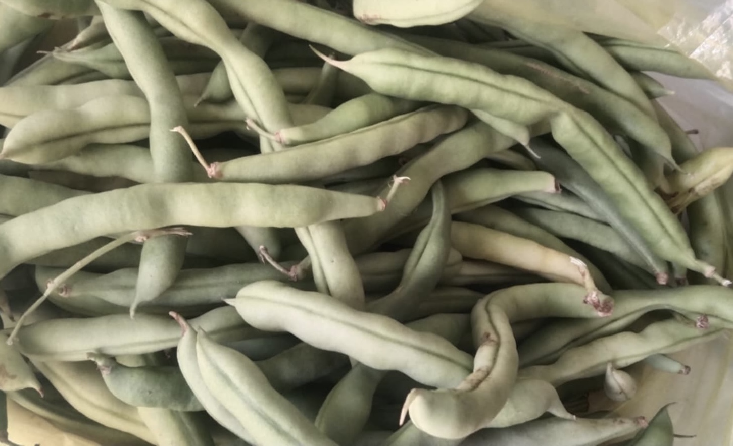 Indian-grown chillies and other vegetables masquerading as local ...