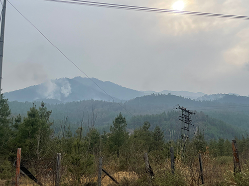 Rising Pollution and Air Purifiers – The Bhutanese