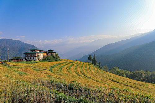 Bhutan’s new farm vision: Turning agriculture into a modern, youth ...